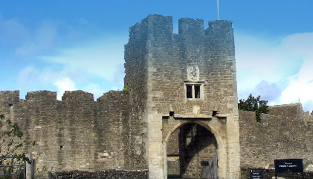 The Hungerford Family Foundation, Inc. - THFFI.org