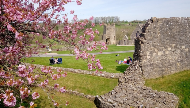 The Hungerford Family Foundation, Inc. - THFFI.org